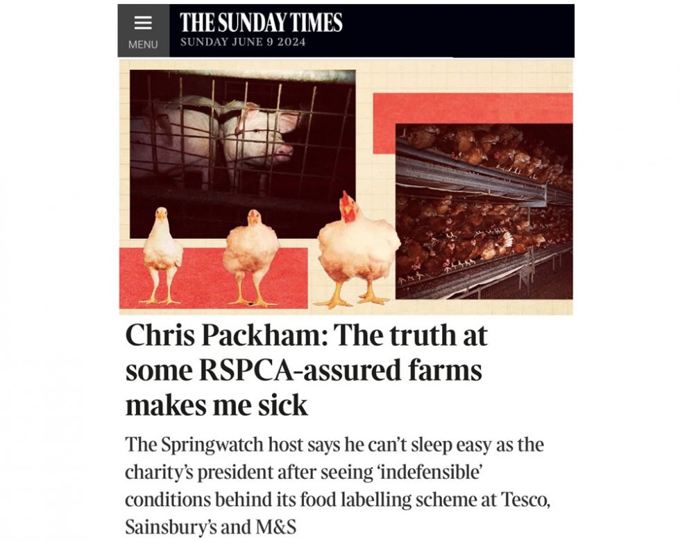 The truth about ‘RSPCA Assured’ farms